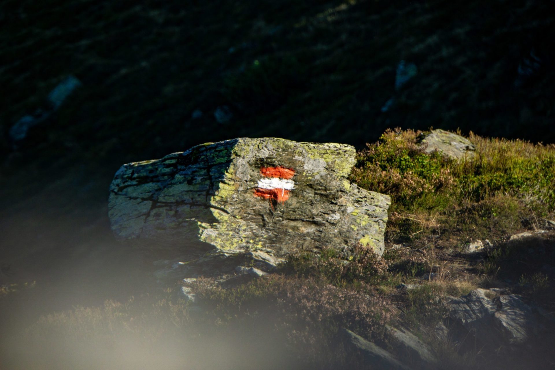 Red-White-Red card: what you need to know